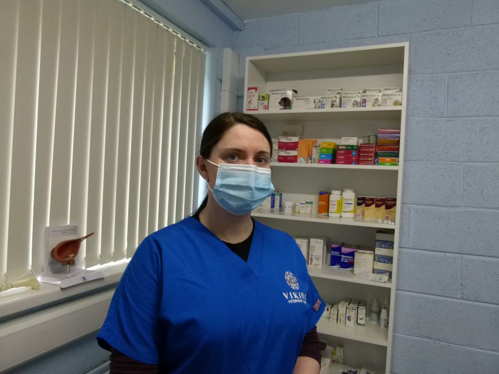 About us - Meet our team of clinical experts in animal care